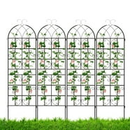 Mr. Garden Raspberry Trellis with Adjustable Arms 7-Feet Raspberry ...