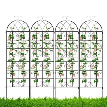Mr. Garden Raspberry Trellis with Adjustable Arms 7-Feet Raspberry ...
