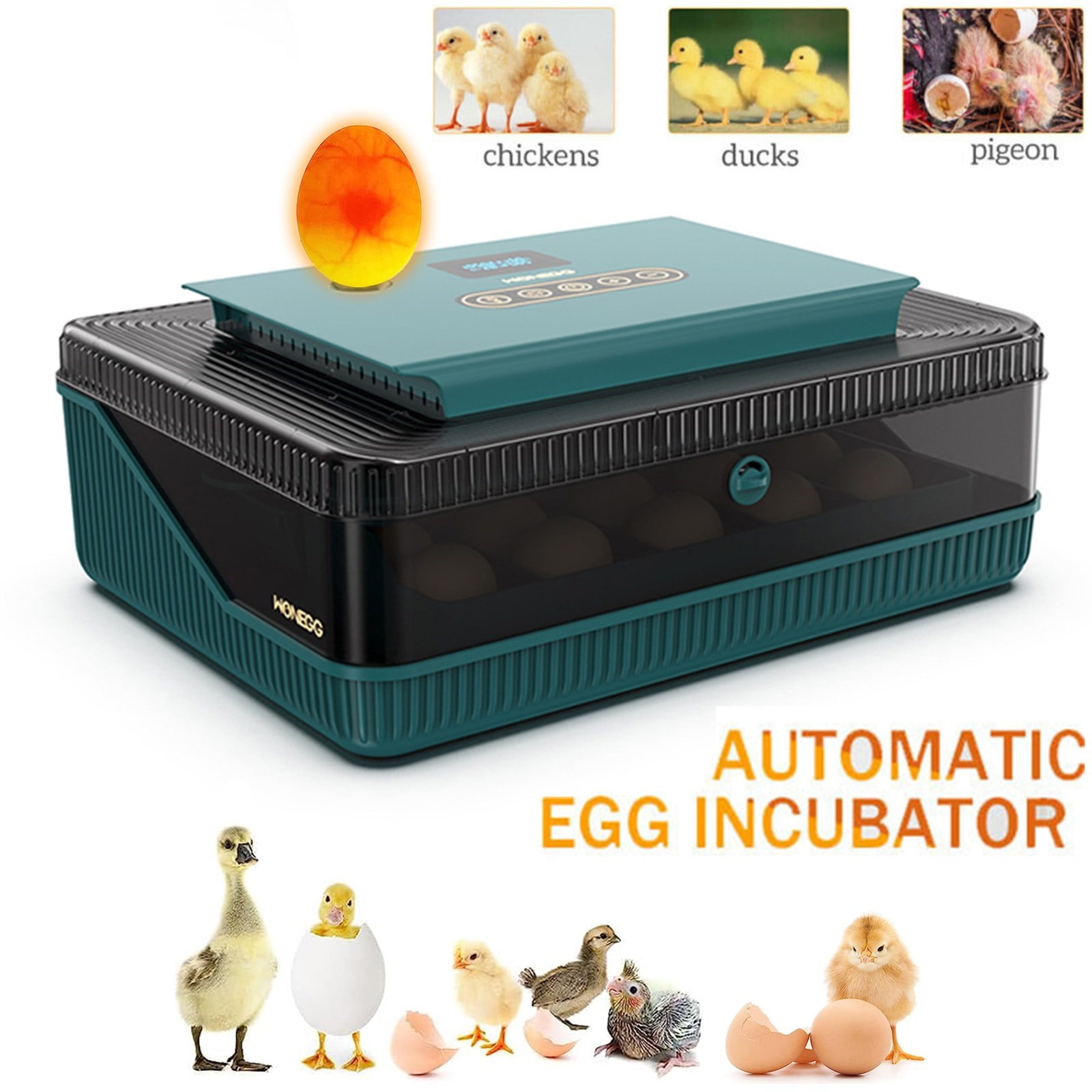 Topchances Egg Incubator, 25 Eggs Fully Automatic Poultry Hatcher ...