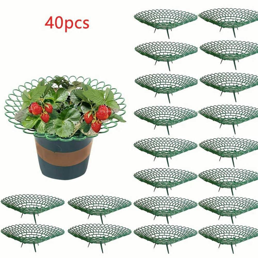 Topcobe 10-Count Strawberry Support Kit, Heavy Duty Plant Stand for ...