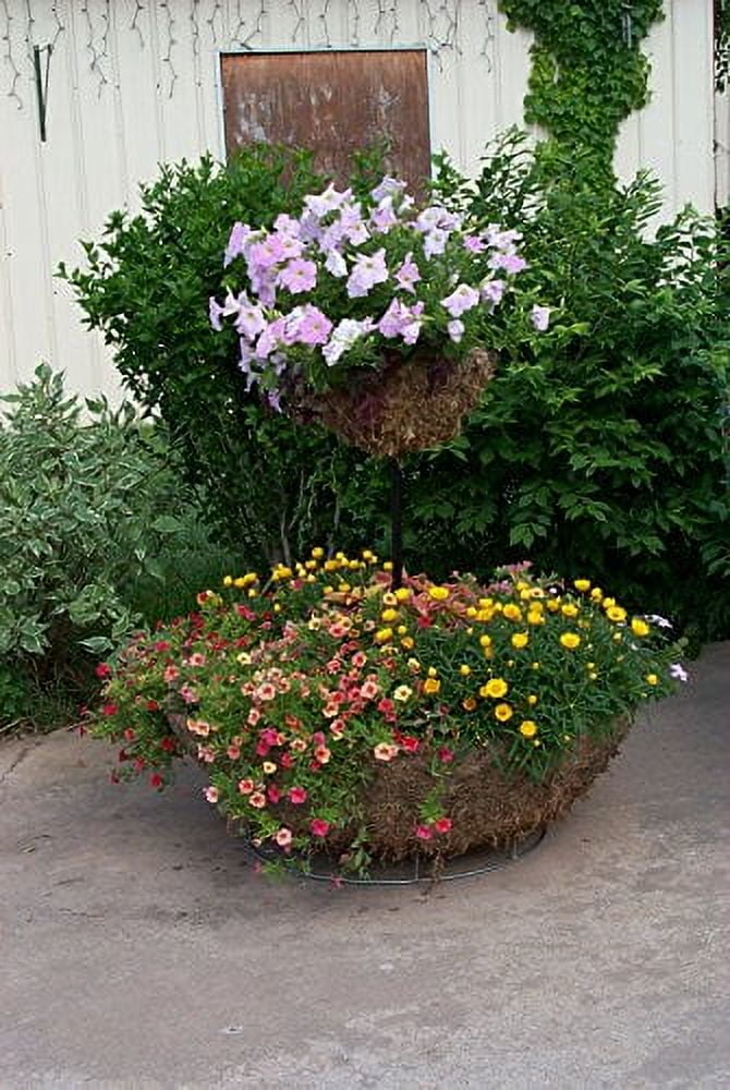 Topiary System - 14" Sphagnum Moss Planter - Overall Height 40 ...