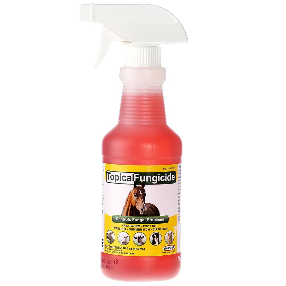 Durvet Topical Fungicide Ringworm and Insect Repellent Spray, 16 oz ...