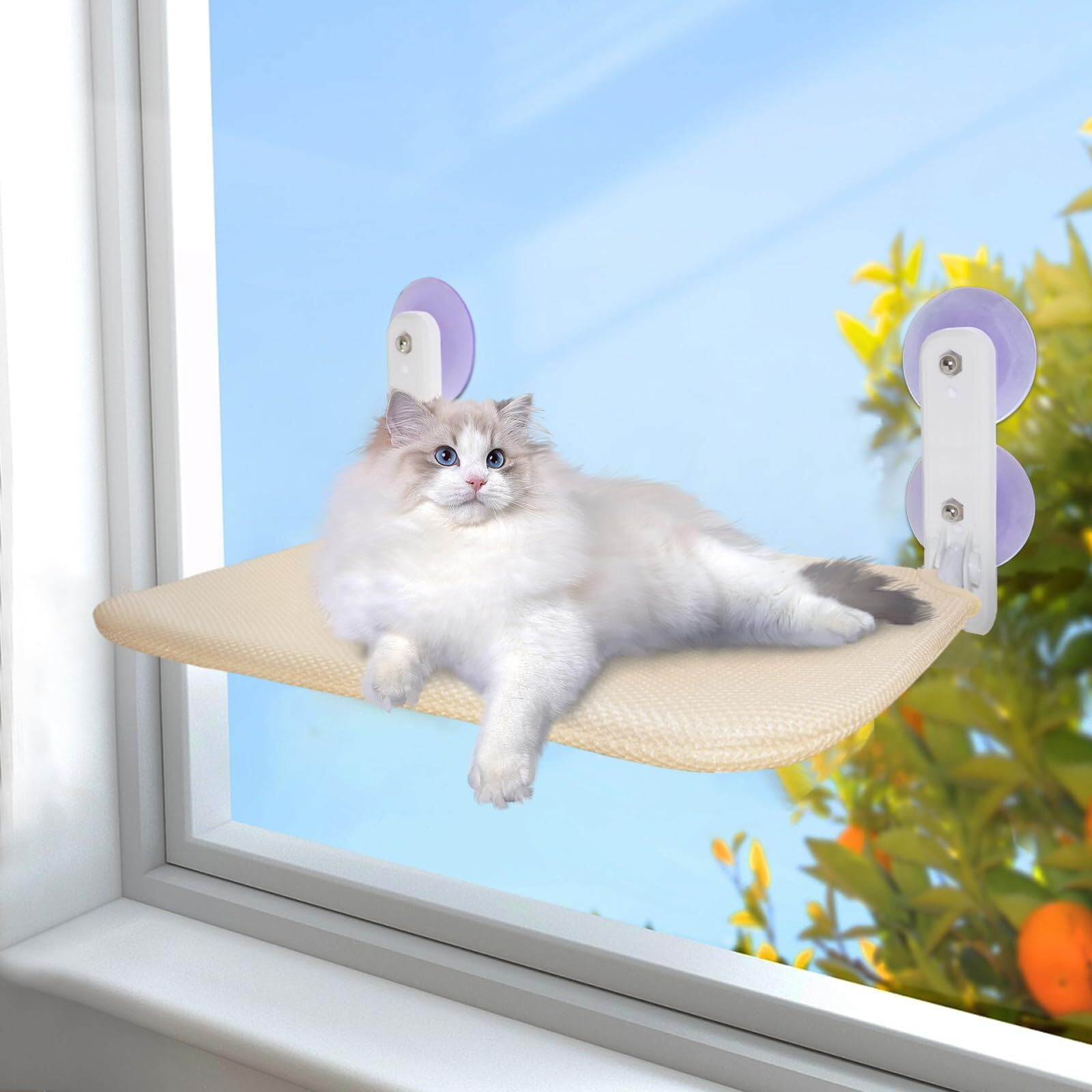 Topkins Cat Hammock for Window, Cordless Cat Window Perch, Foldable Cat ...