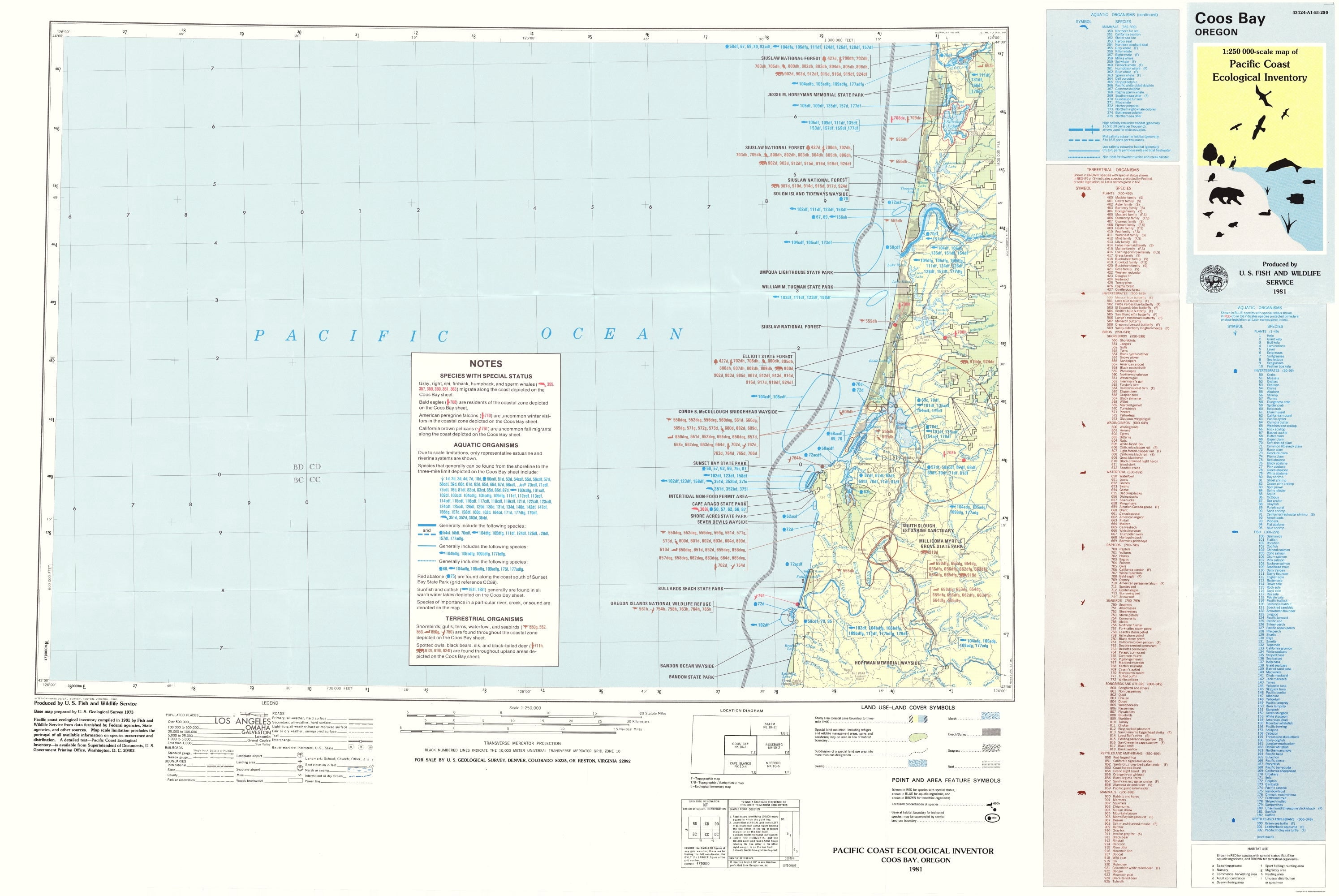 Topographical Map - Coos Bay Oregon Sheet - USGS 1981 - 23 x 34.37 ...