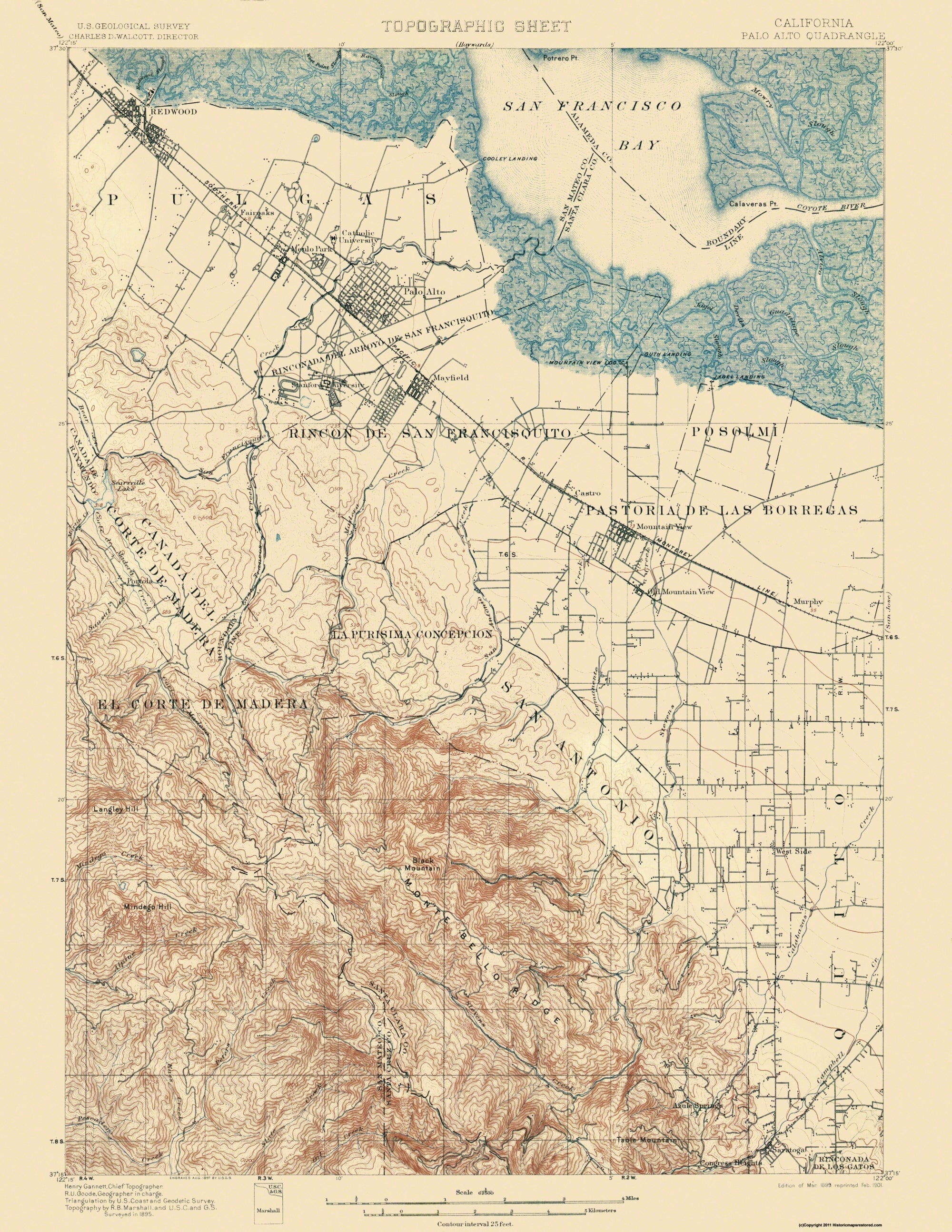 Topographical Map - Palo Alto California Quad - USGS 1899 - 28.94 x 23 ...