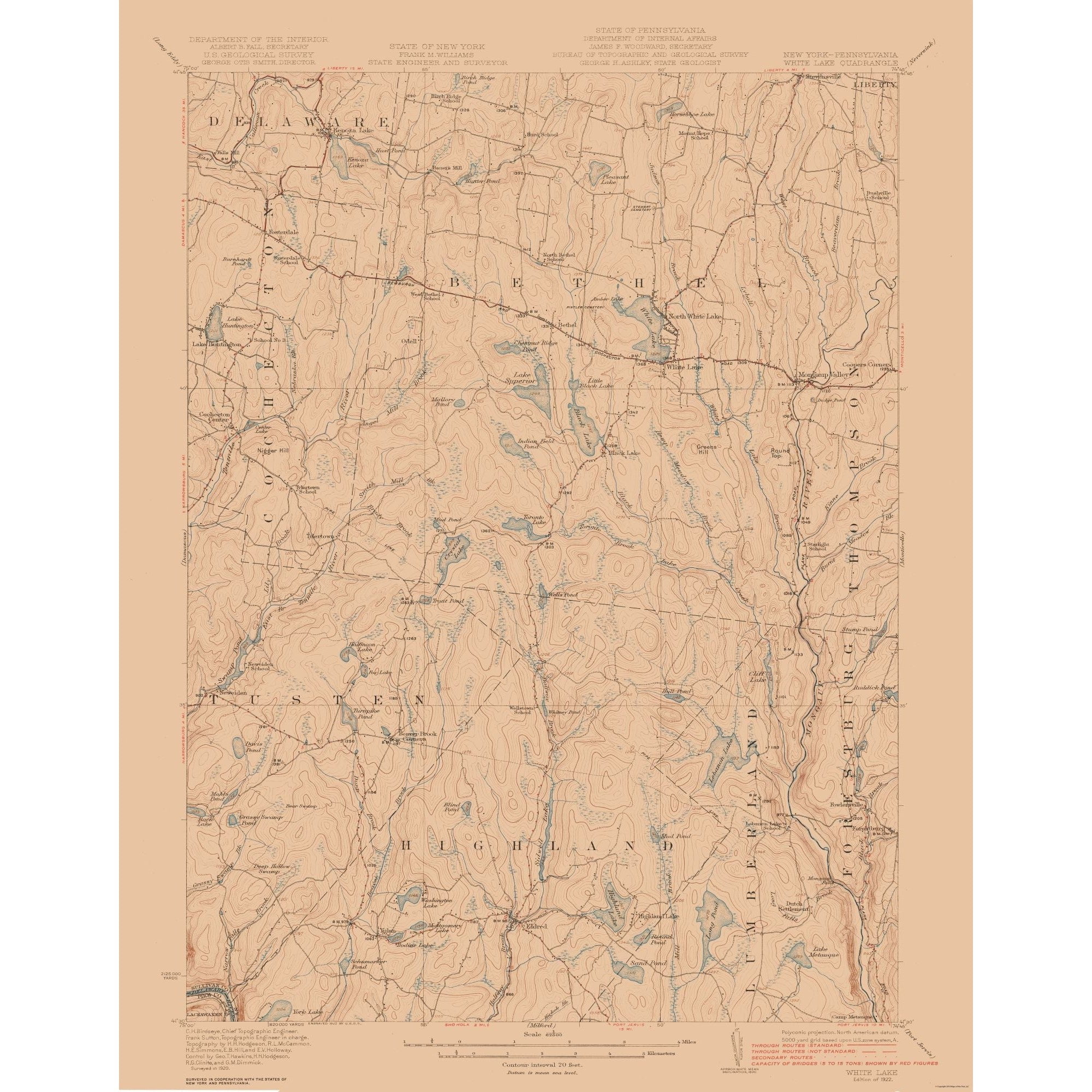 Topographical Map - White Lake New York Quad - USGS 1922 - 23 x 29.42 ...