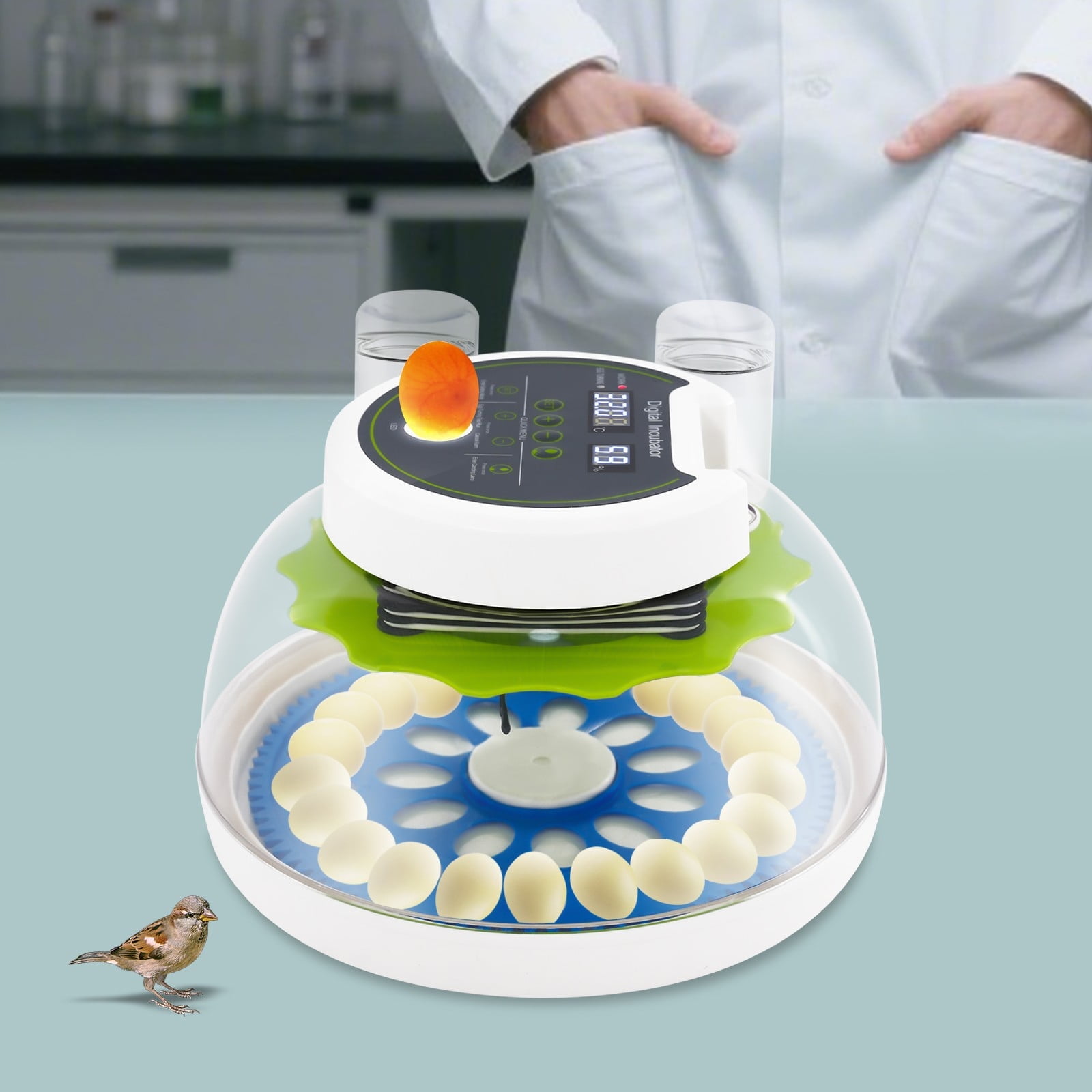 ToppiJoy 33 Quail Egg Incubator for Hatching with Automatic Turner and ...