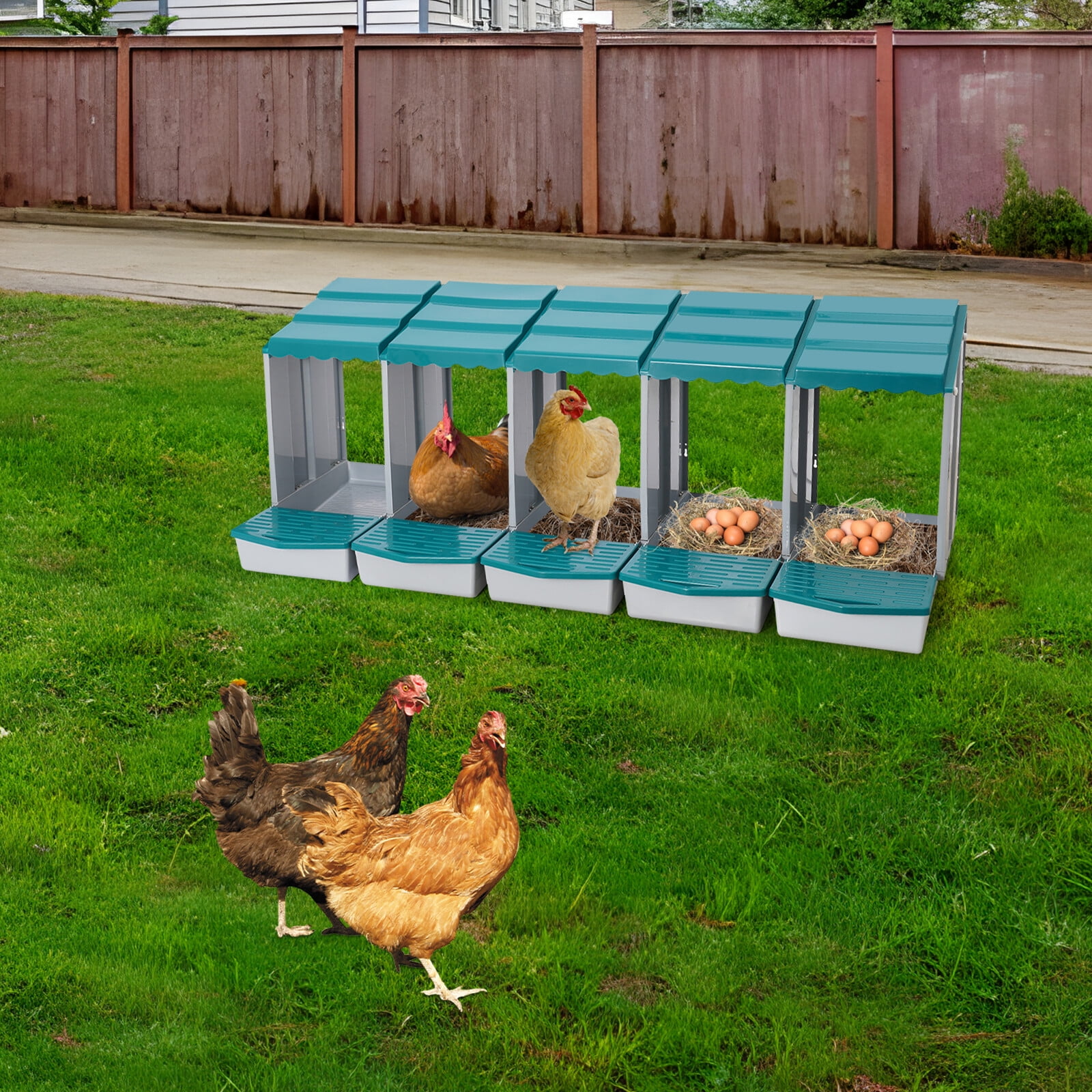 ToppiJoy 5-Compartment PP Chicken Nesting Boxes, Egg Laying Box with ...