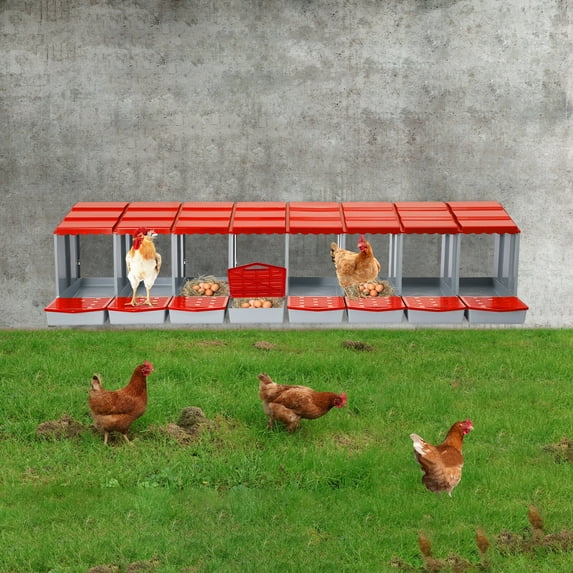 ToppiJoy 8 Hole Chicken Nesting Box, Rollout Nesting Box, Compartments ...
