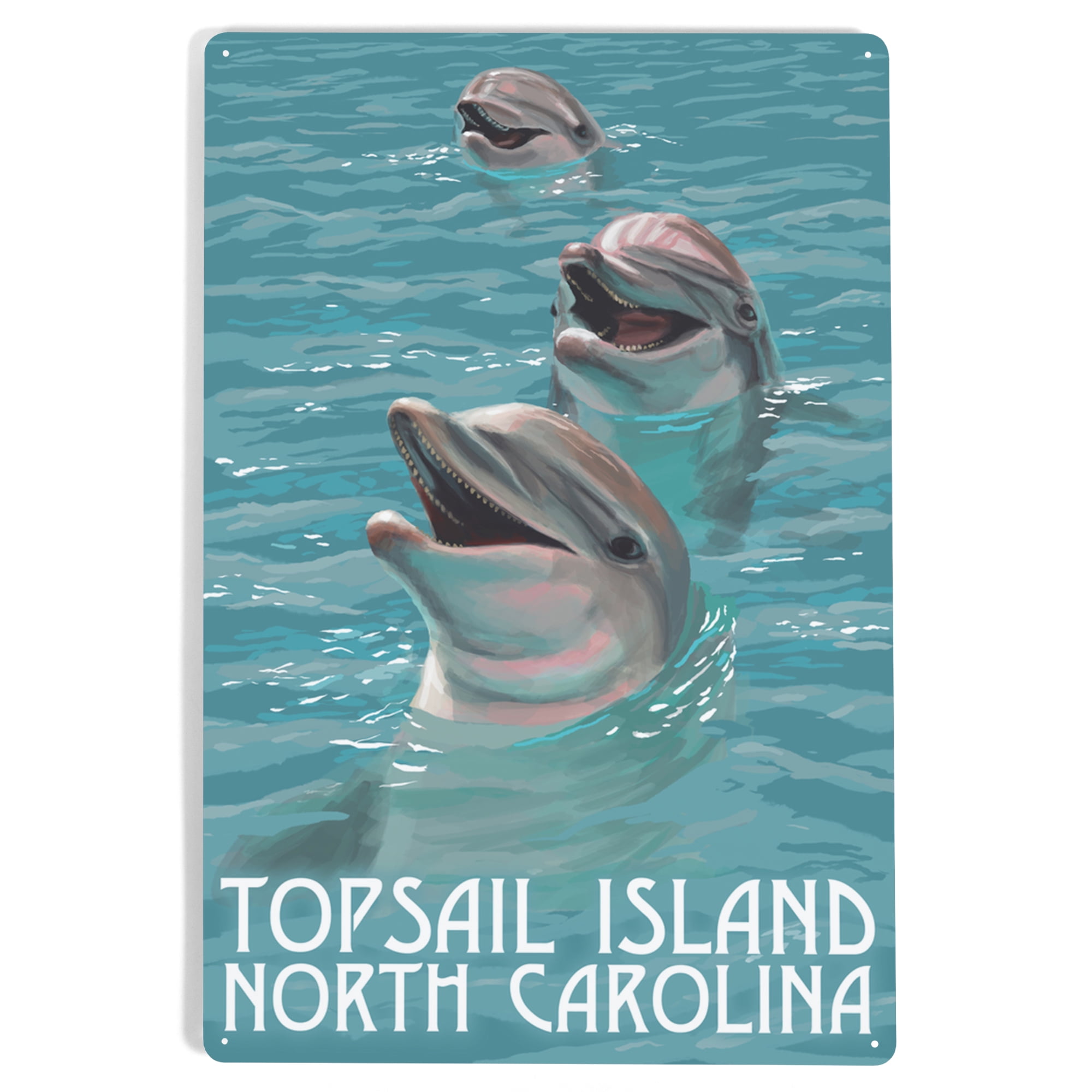 Topsail Island, North Carolina, Dolphins (12x18 Aluminum Art, Indoor ...
