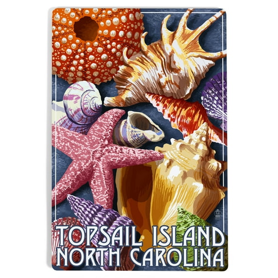 Topsail Island, North Carolina, Shells (12x18 Aluminum Art, Indoor ...