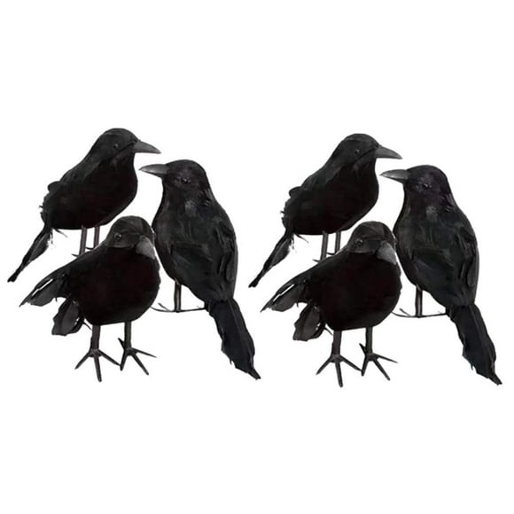 Halloween Black Crows