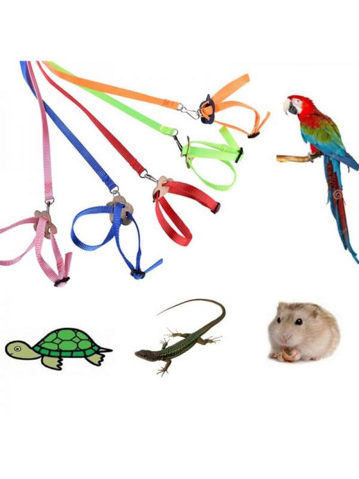 Topumt Pet Parrot Hamster Lizard Adjustable Harness And Leash - Walmart.com