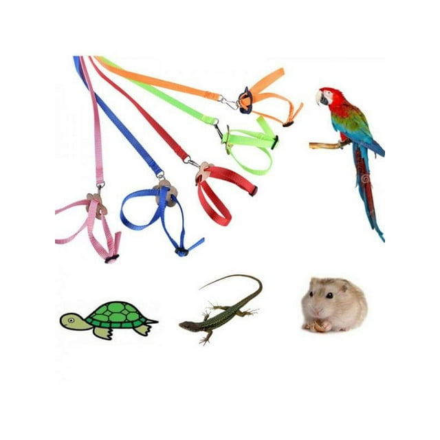 Topumt Pet Parrot Hamster Lizard Adjustable Harness And Leash - Walmart.com