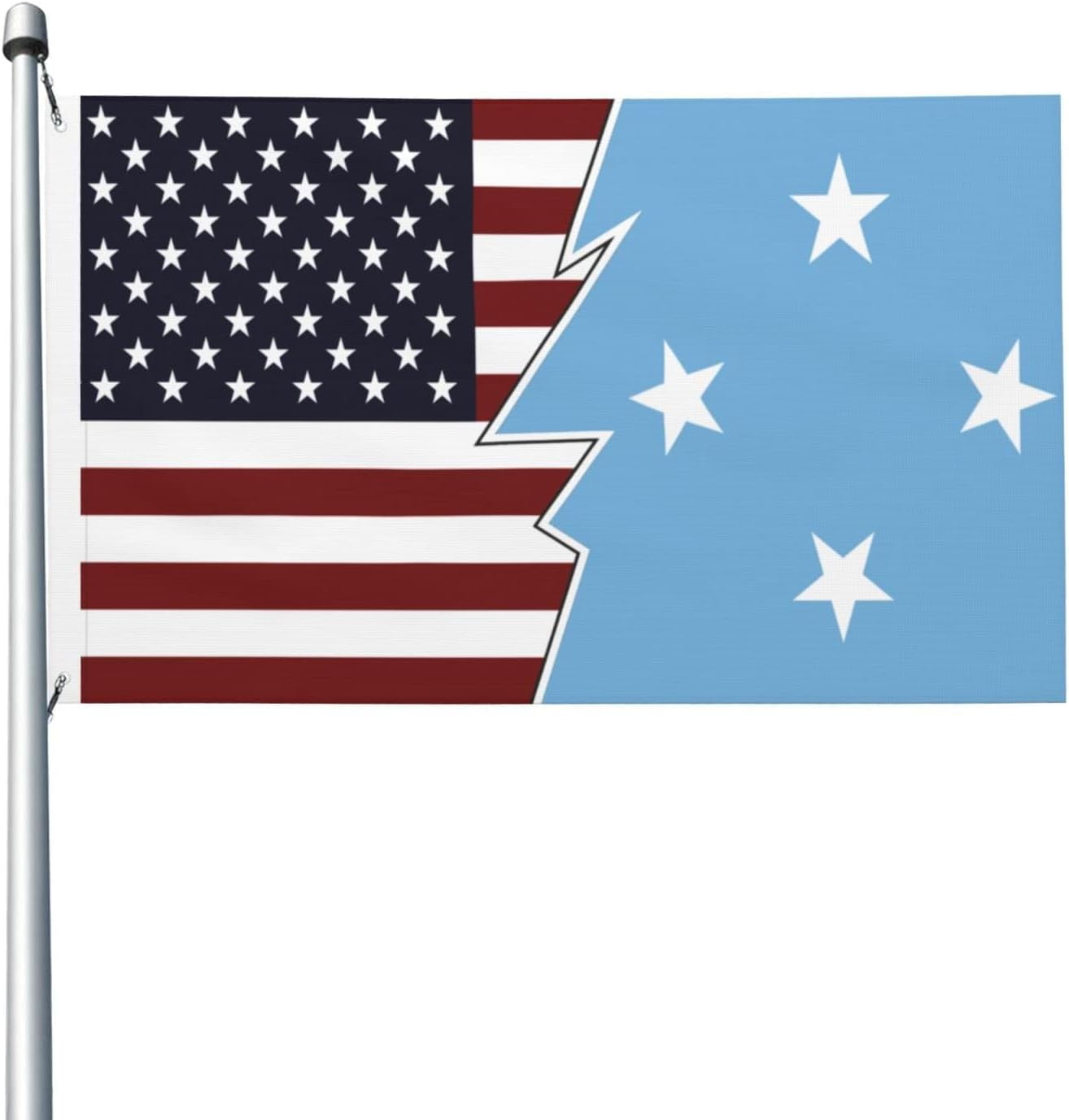 Torn Style American And The Federated States Of Micronesia Flags Flag ...