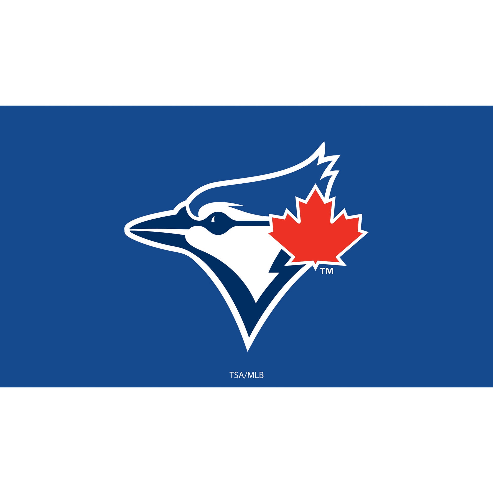 Toronto Blue Jays 28" x 16" Logo Indoor/Outdoor Trapper Mat - Walmart.com
