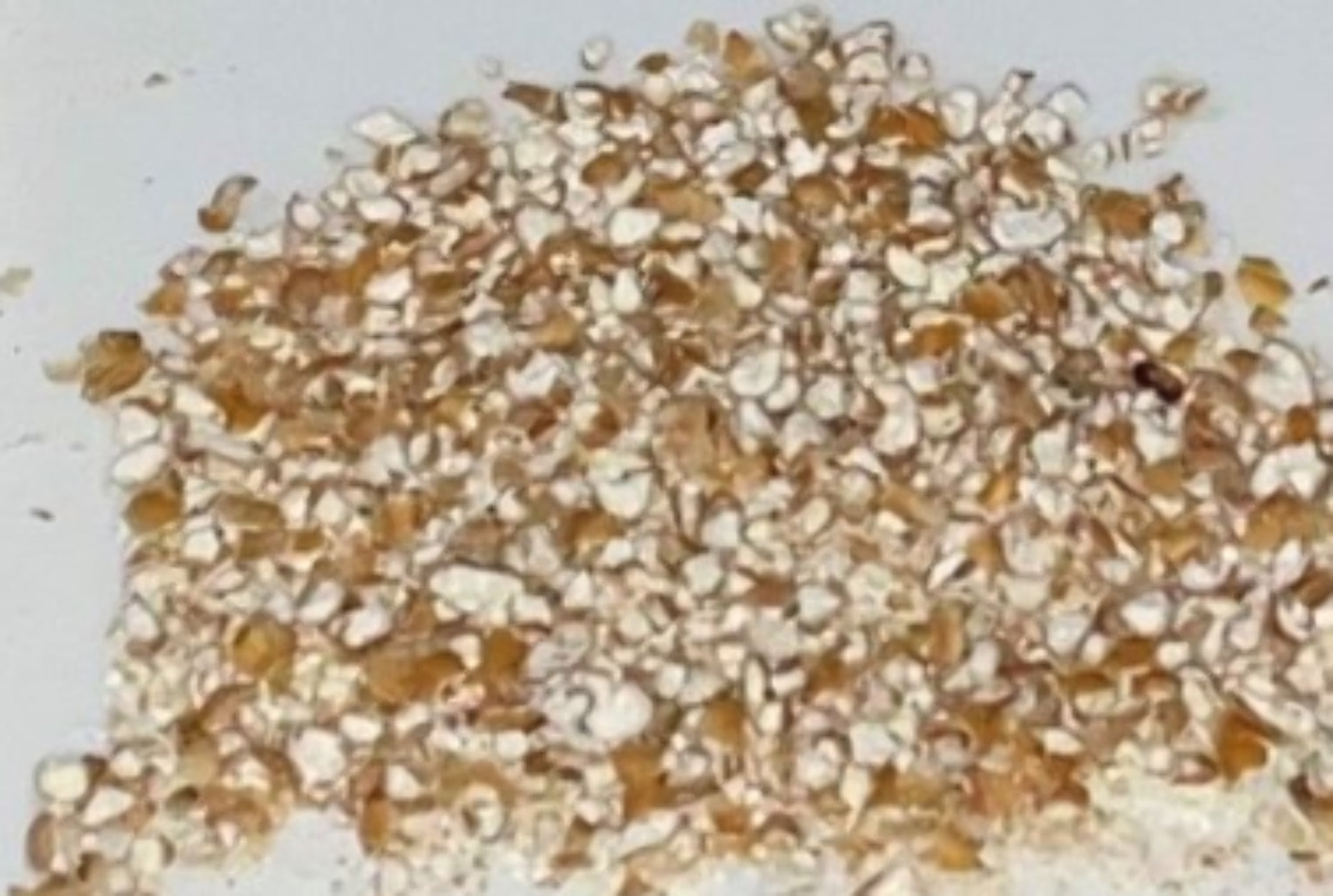 Torrified Red Wheat Malt (Milled/Crushed) 10 lbs - Walmart.com