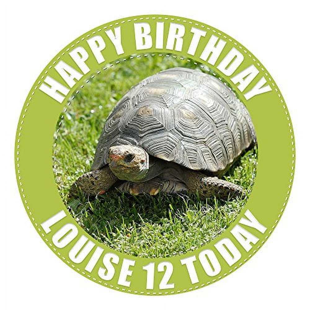 Tortoise Cake Topper 7.5 Inch PERSONALISED Edible on Icing Sheet with ...