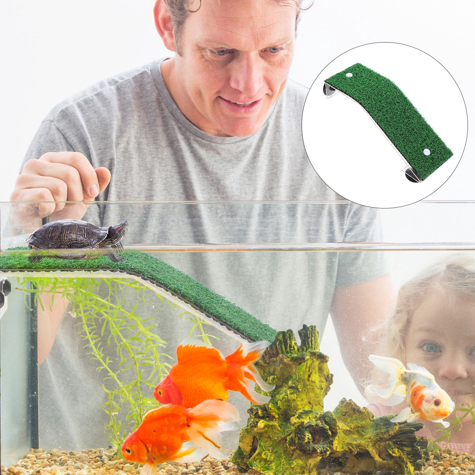 PENIKOKO Aquarium Ladder Green PP Acrylic Reptile Enthusiasts Turtle ...