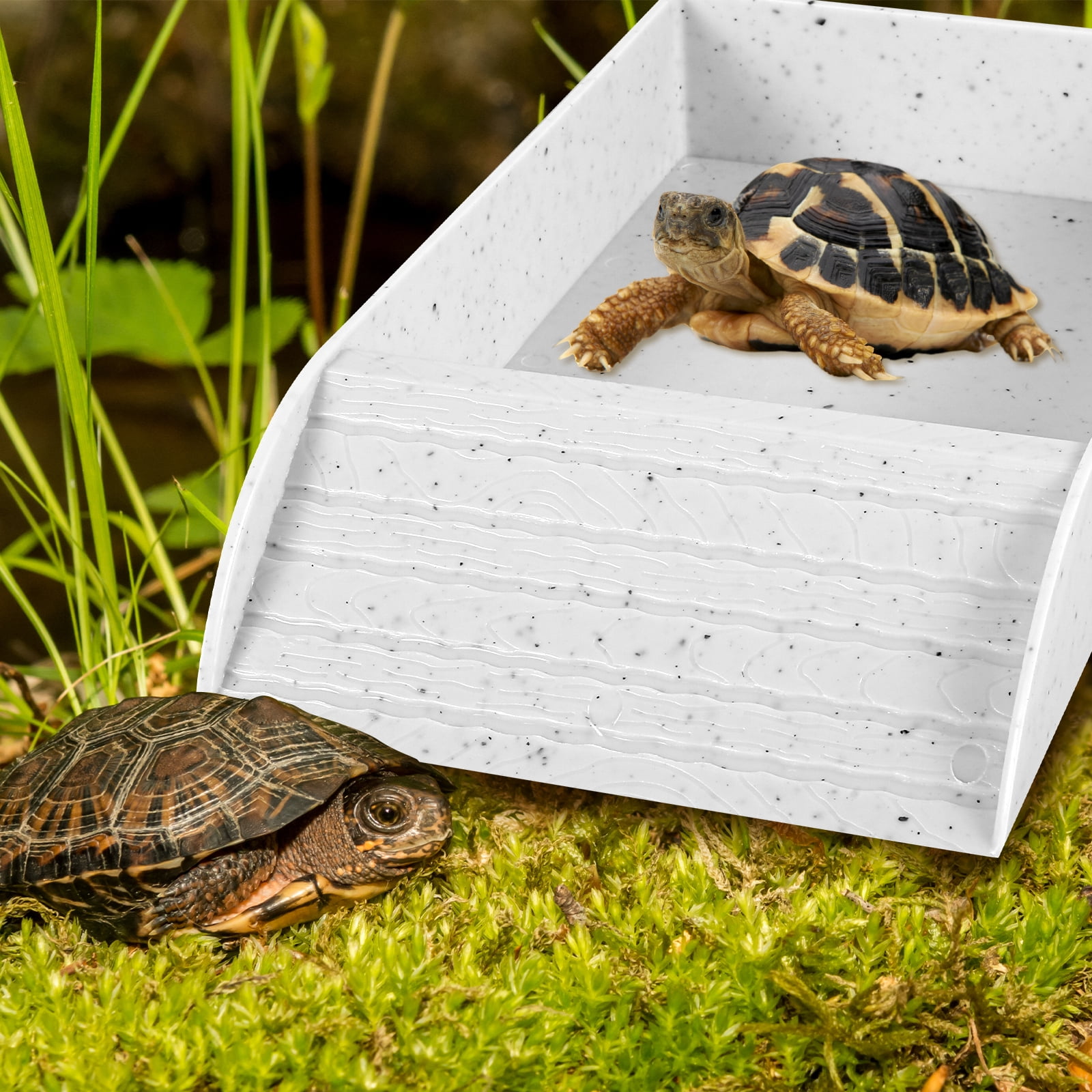 Tortoise Food Dish Reptile Water Food Bowls with Anti-Slip Ramp Reptile ...