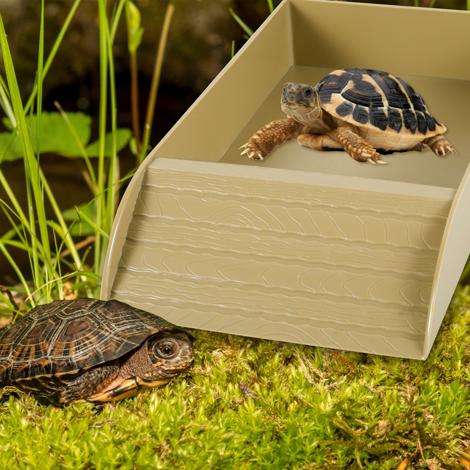 Tortoise Food Dish Reptile Water Food Bowls with Anti-Slip Ramp Reptile ...