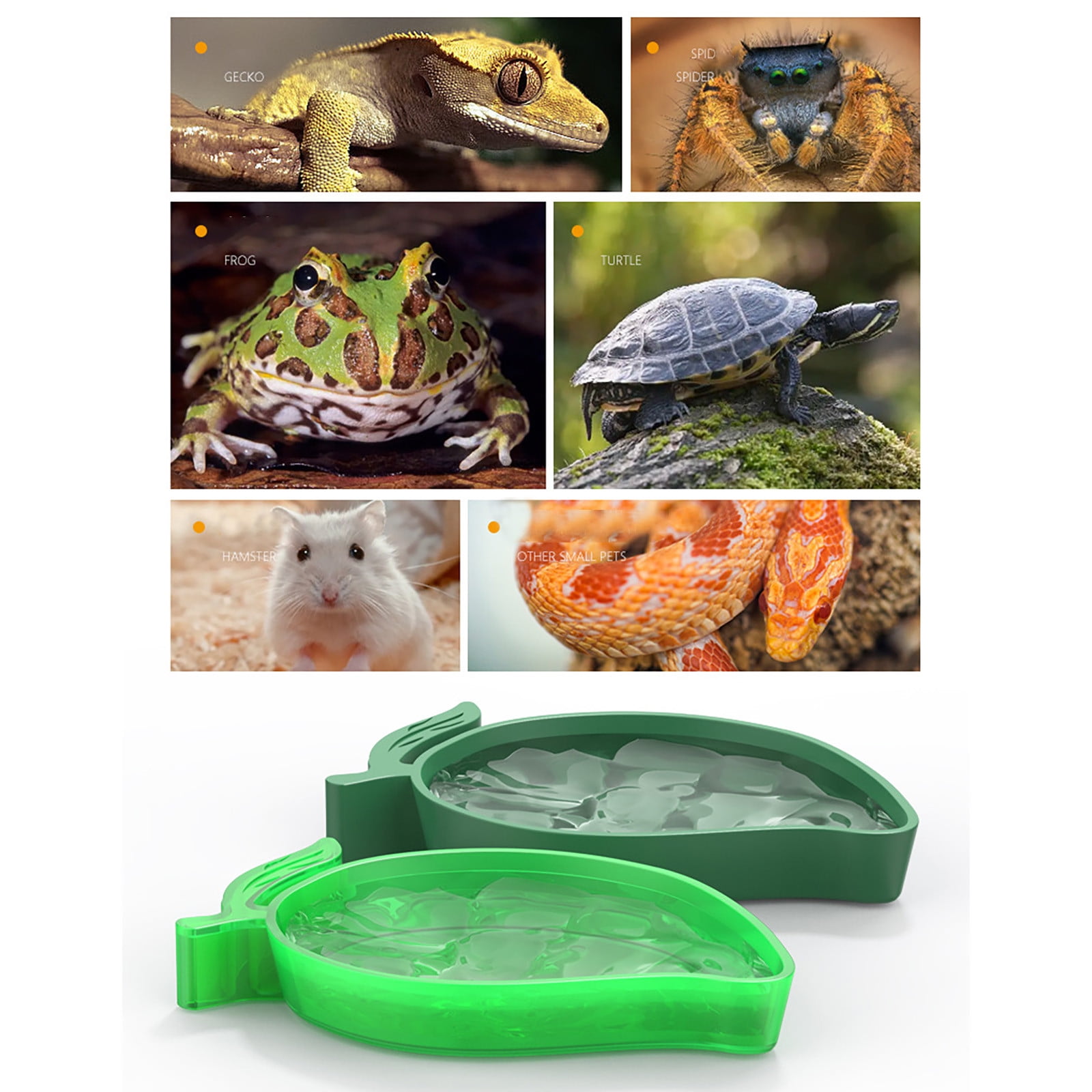 Tortoise Food Water Bowls with Ramp Leaf Tortoise Food Dish Reptile ...
