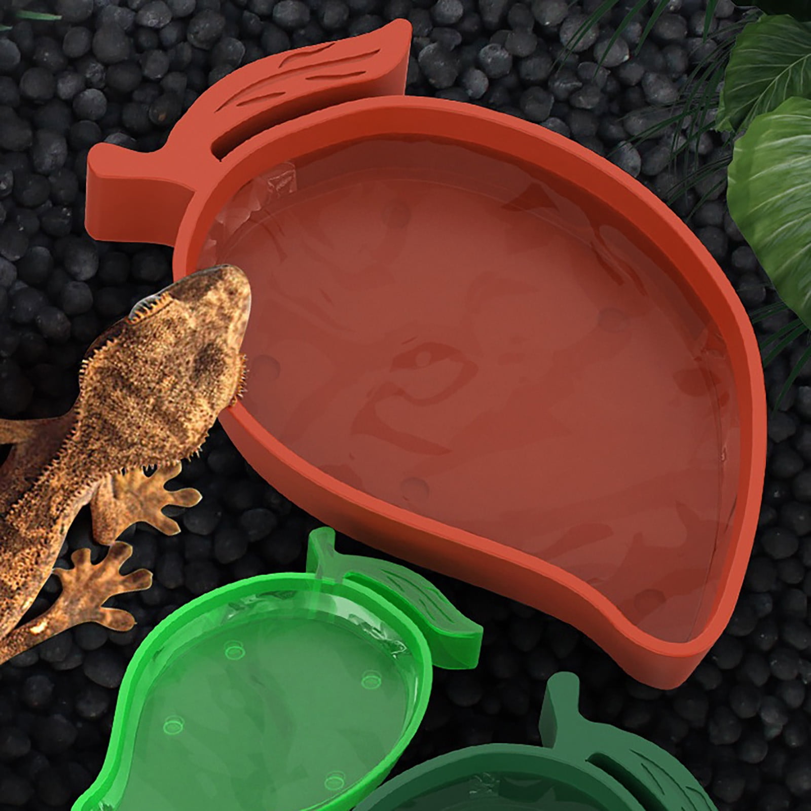 Tortoise Food Water Bowls with Ramp Leaf Tortoise Food Dish Reptile ...