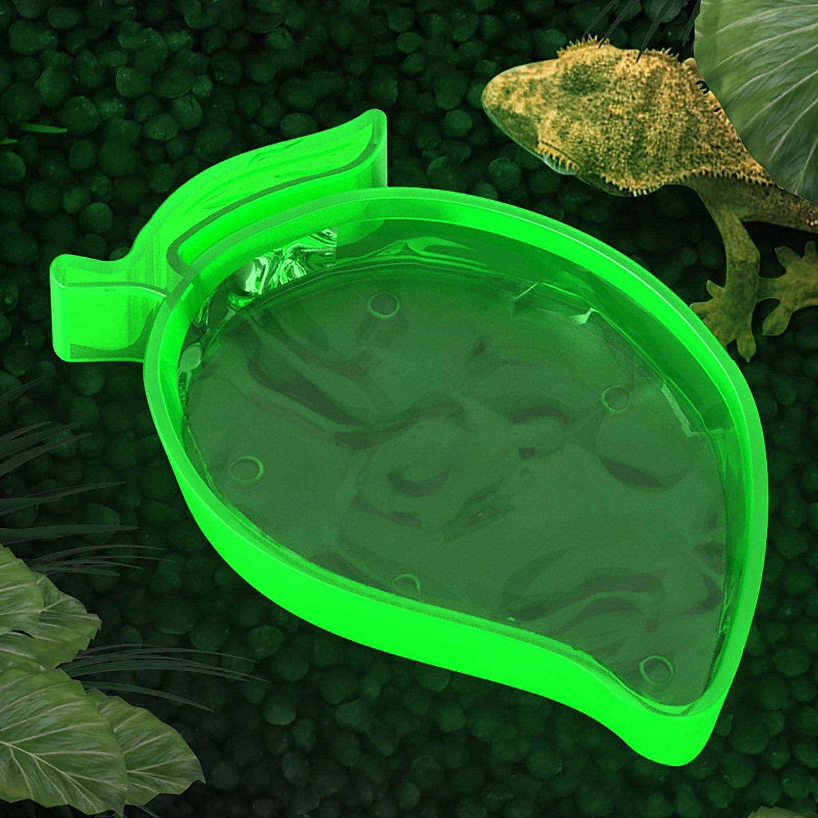 Tortoise Food Water Bowls with Ramp Leaf Tortoise Food Dish Reptile ...