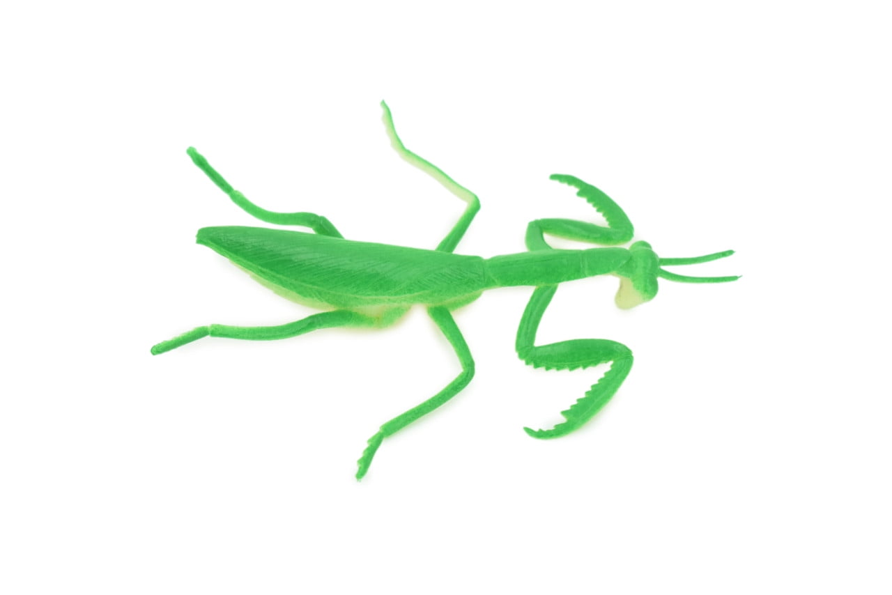 Tortoise, High Quality, Soft Rubber Turtle, Hand Painted, Realistic ...