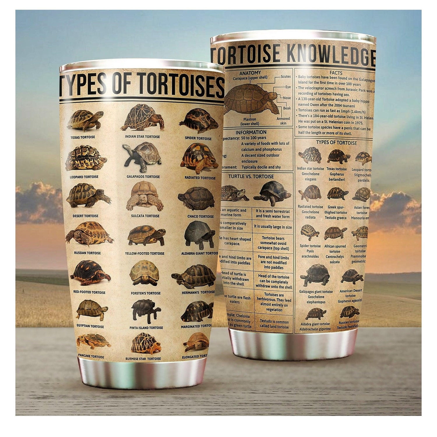 Tortoise Knowledge 20 oz Tumbler, Types Of Tortoise, Turtle Tumbler ...