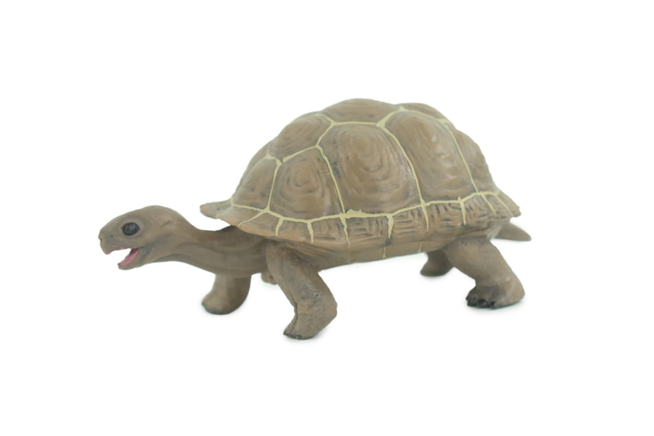 Tortoise, Museum Quality, Educational, Hand Painted, Rubber, Galapagos ...