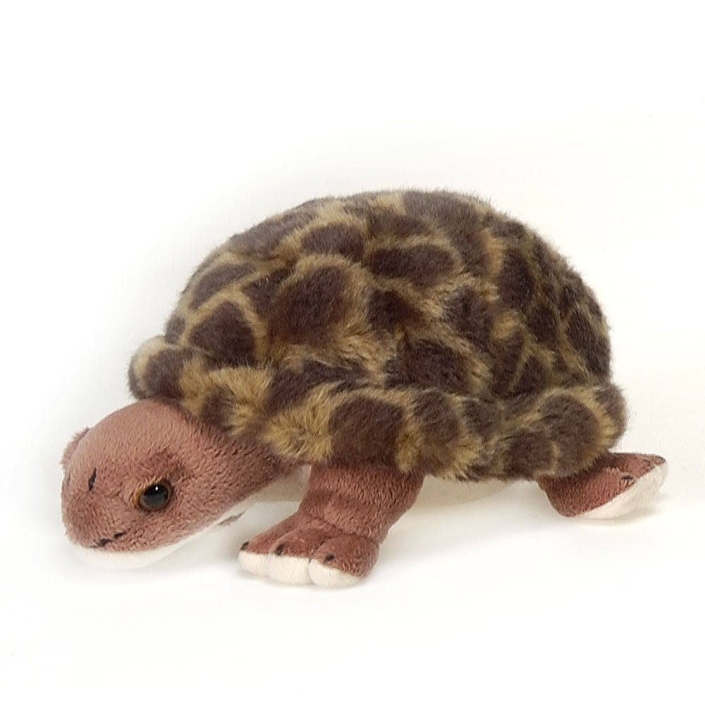 Tortoise Plush Toy – 8 Inch Realistic Soft & Cuddly Ocean Wildlife ...
