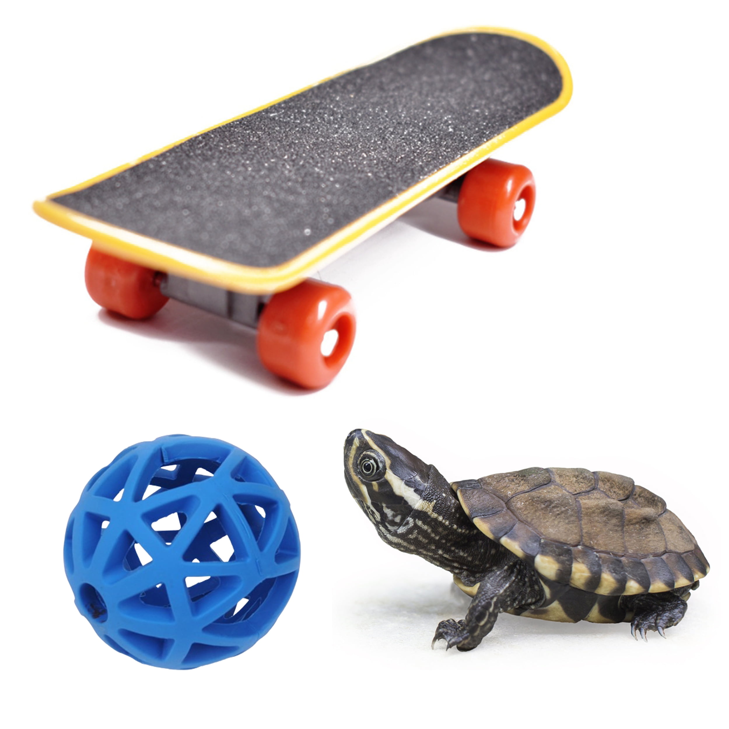 Tortoise Treat Ball And Training Skateboard Toy Set, Turtle Feeder Ball ...