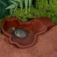 Tortoise Water Dish Shallow Reptile Feeding Bowl Smooth Easy Wash Tub ...