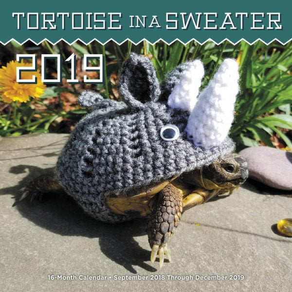 Tortoise in a Sweater 2019 : 16-Month Calendar - September 2018 through ...
