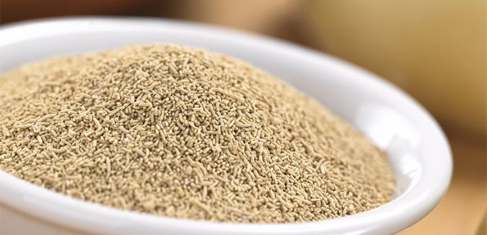 Torula Yeast - Walmart.com