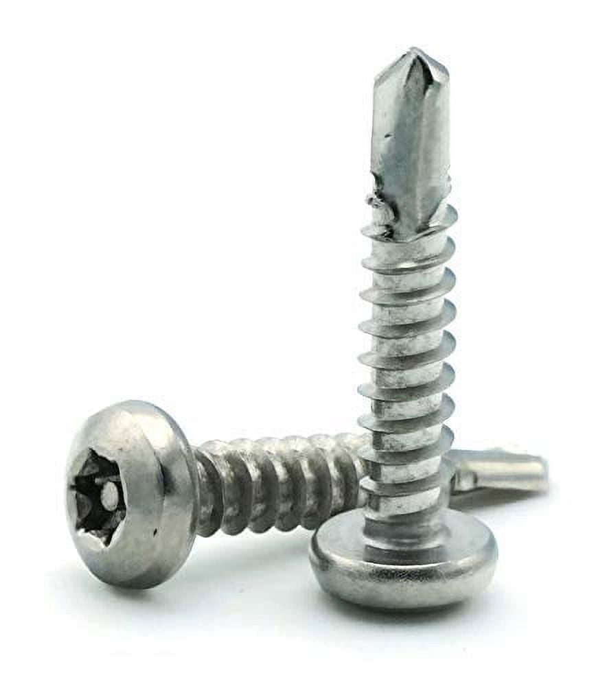 Torx w/Pin Tamper Proof Security Pan Self Driller TEK-3 410 Stainless ...