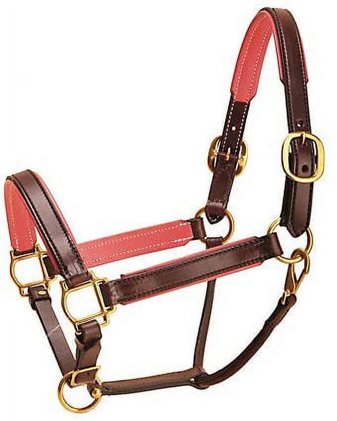 Tory Leather 1” Wide Padded Leather Halter- Black/Green, Cob - Walmart.com