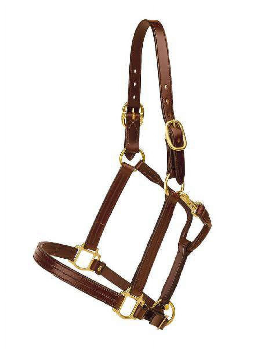 Tory Leather 1” Wide Triple Stitched Halter With Rolled Snap Throat, Adjustable Nose And Solid ...