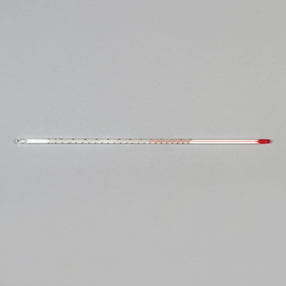 Total Immersion 12" Thermometer (-20 To 110 C; 0 To 230 F) - Walmart.com