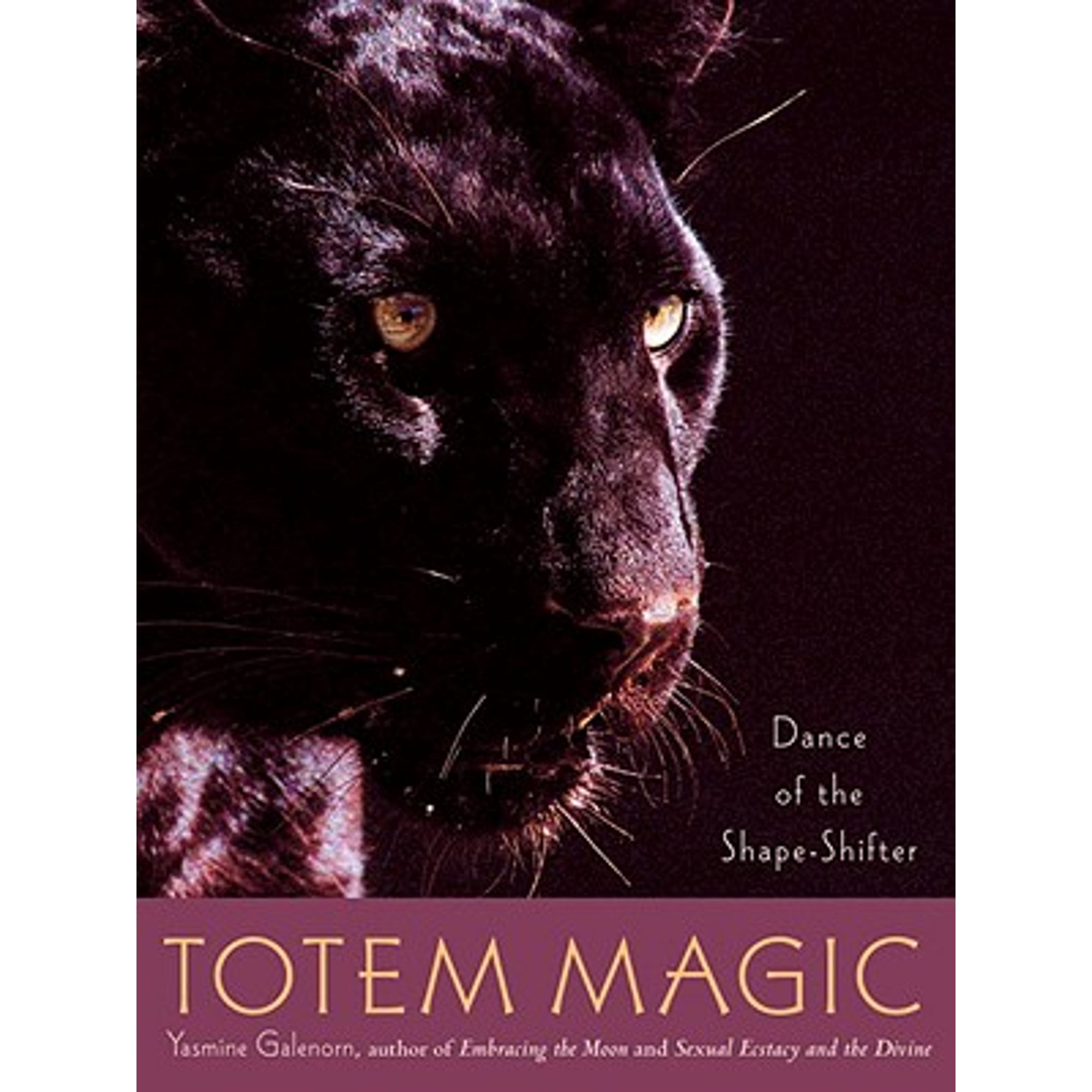 Pre-Owned Totem Magic: Dance of the Shapeshifter (Paperback) 1580911161 ...