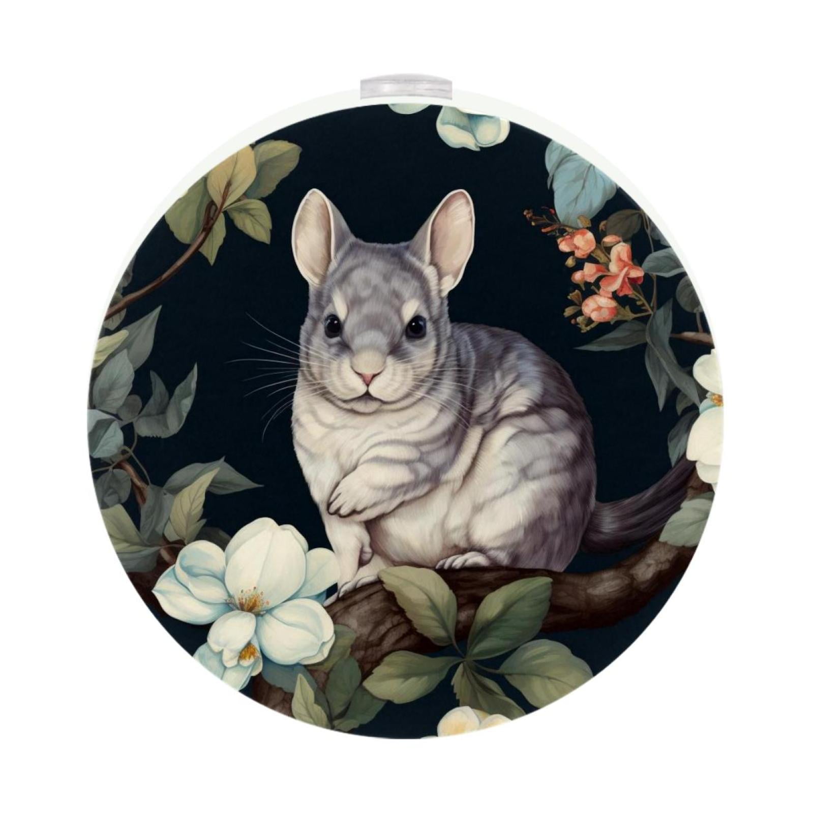 Totoro Bright and Compact LED Round Night Light - Set of 2, Energy ...