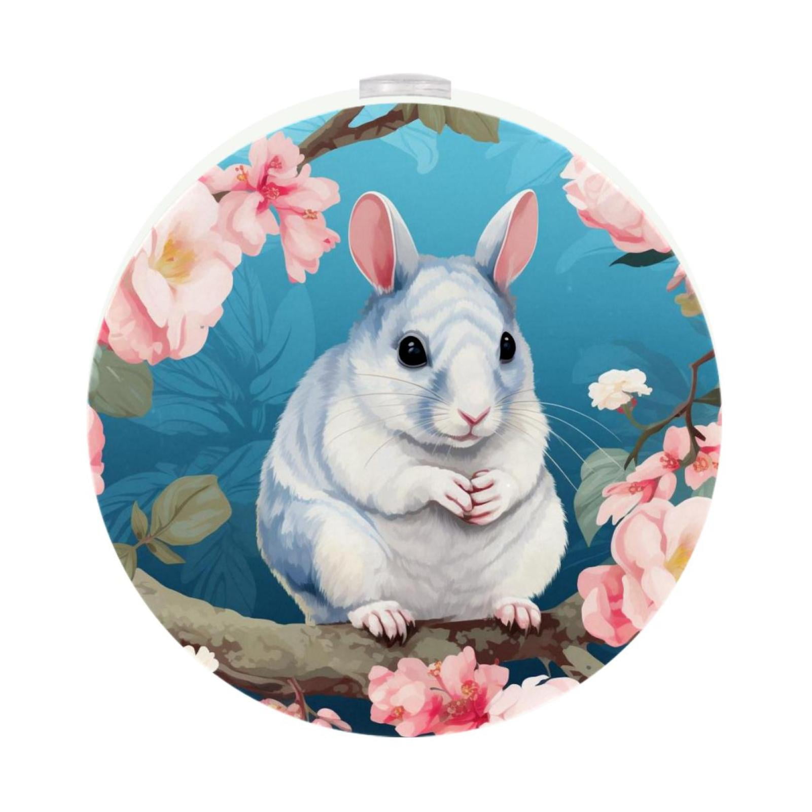 Totoro LED Round Night Light- Set of 2, Portable Rechargeable Mini ...