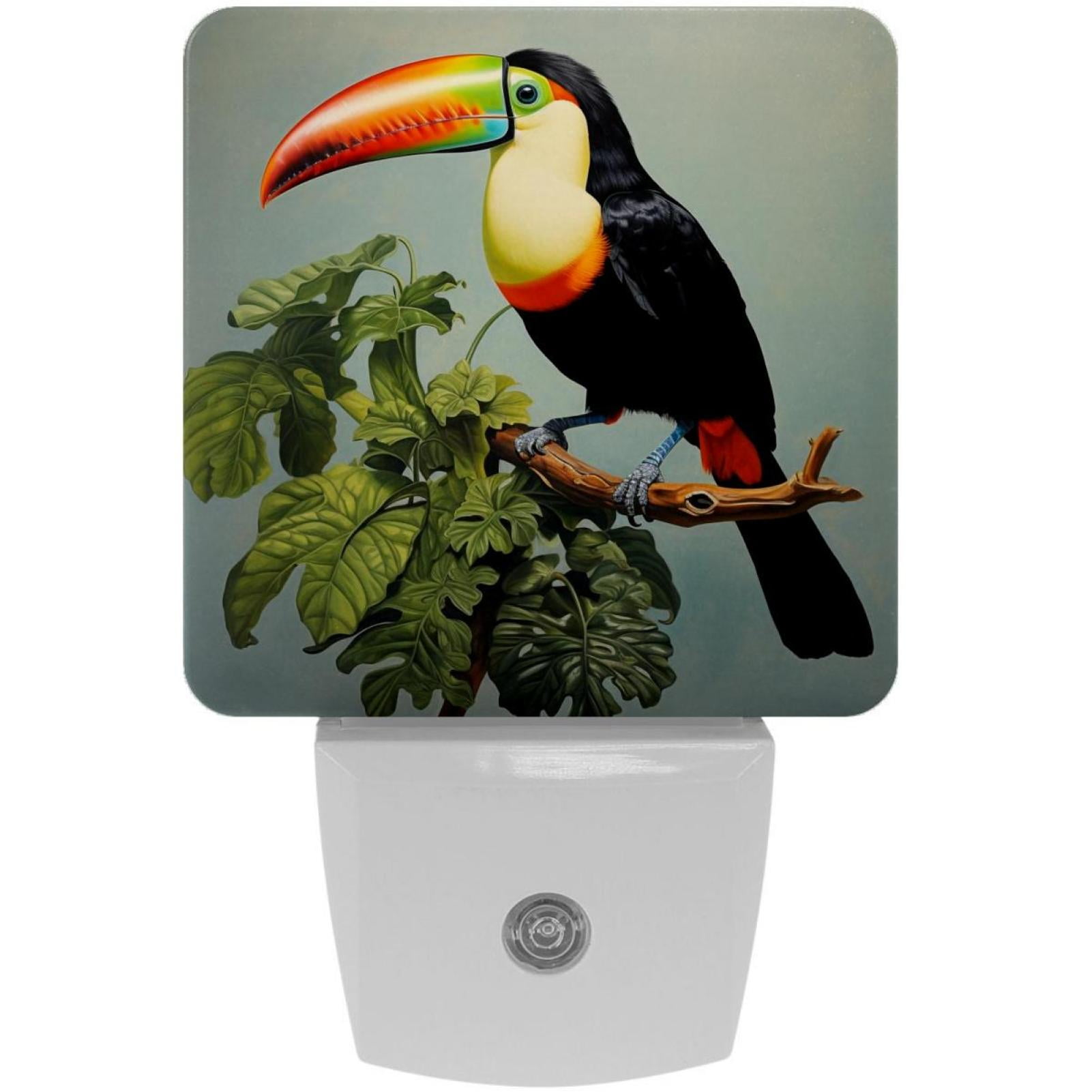 Toucan LED Square Night Light - Compact and Energy Efficient ...