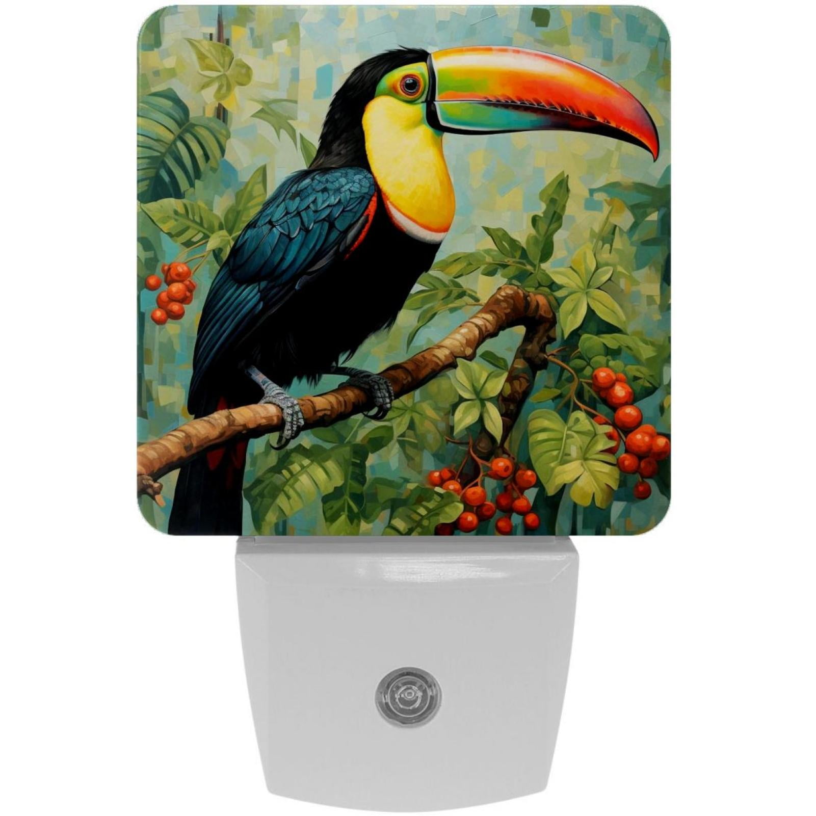 Toucan LED Square Night Light - Compact and Energy Efficient ...