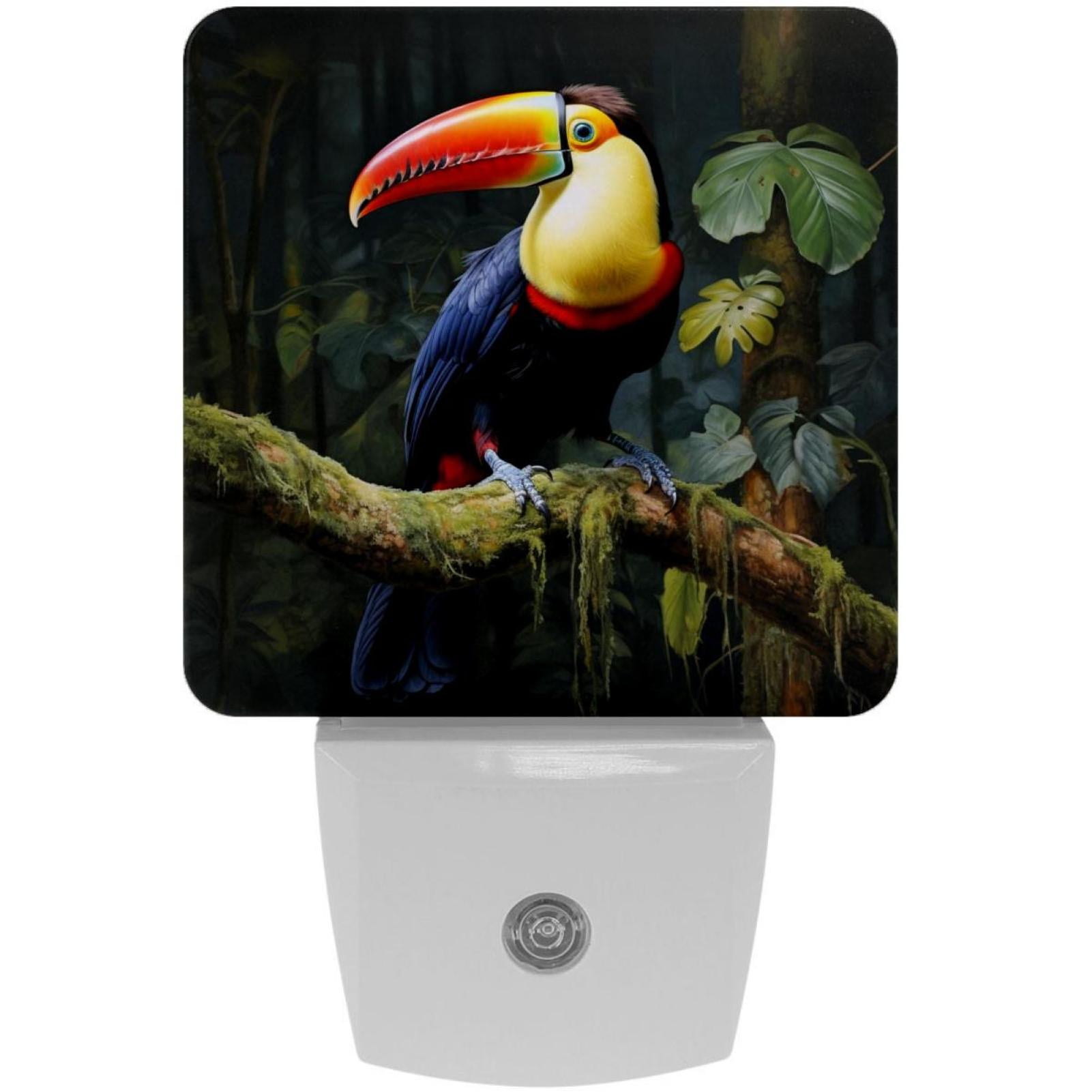 Toucan LED Square Night Light - Energy Efficient and Stylish ...