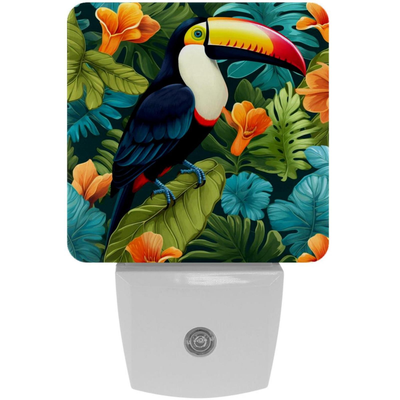 Toucan LED Square Night Lights - Bright and Compact Bedroom or Bathroom ...