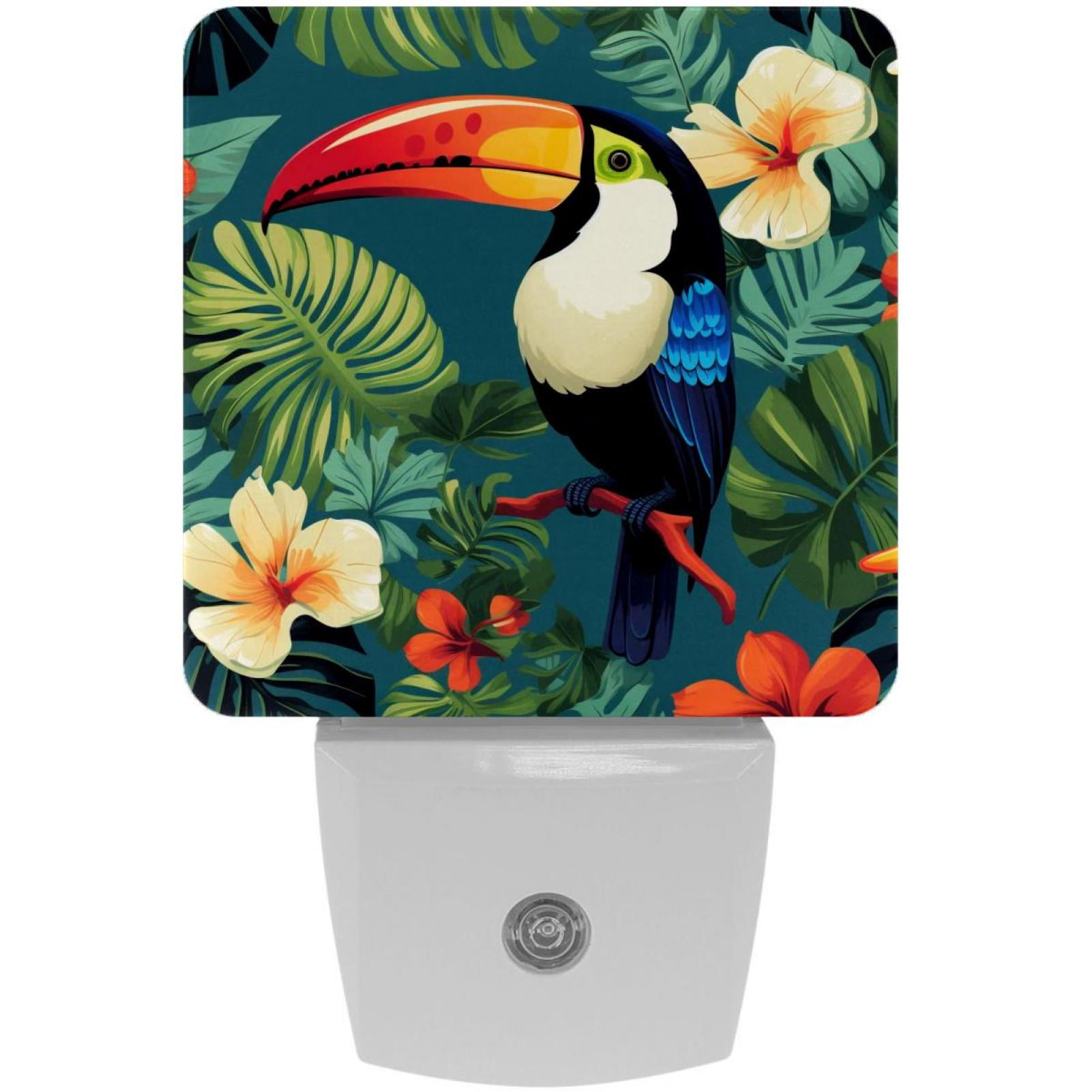 Toucan LED Square Night Lights - Bright, Energy-Efficient Luminaires ...