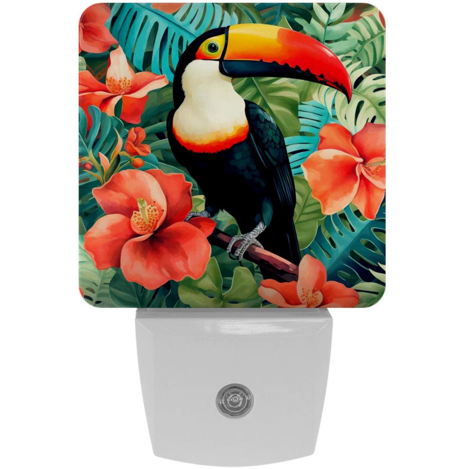 Toucan LED Square Night Lights: Compact and Energy-Efficient ...