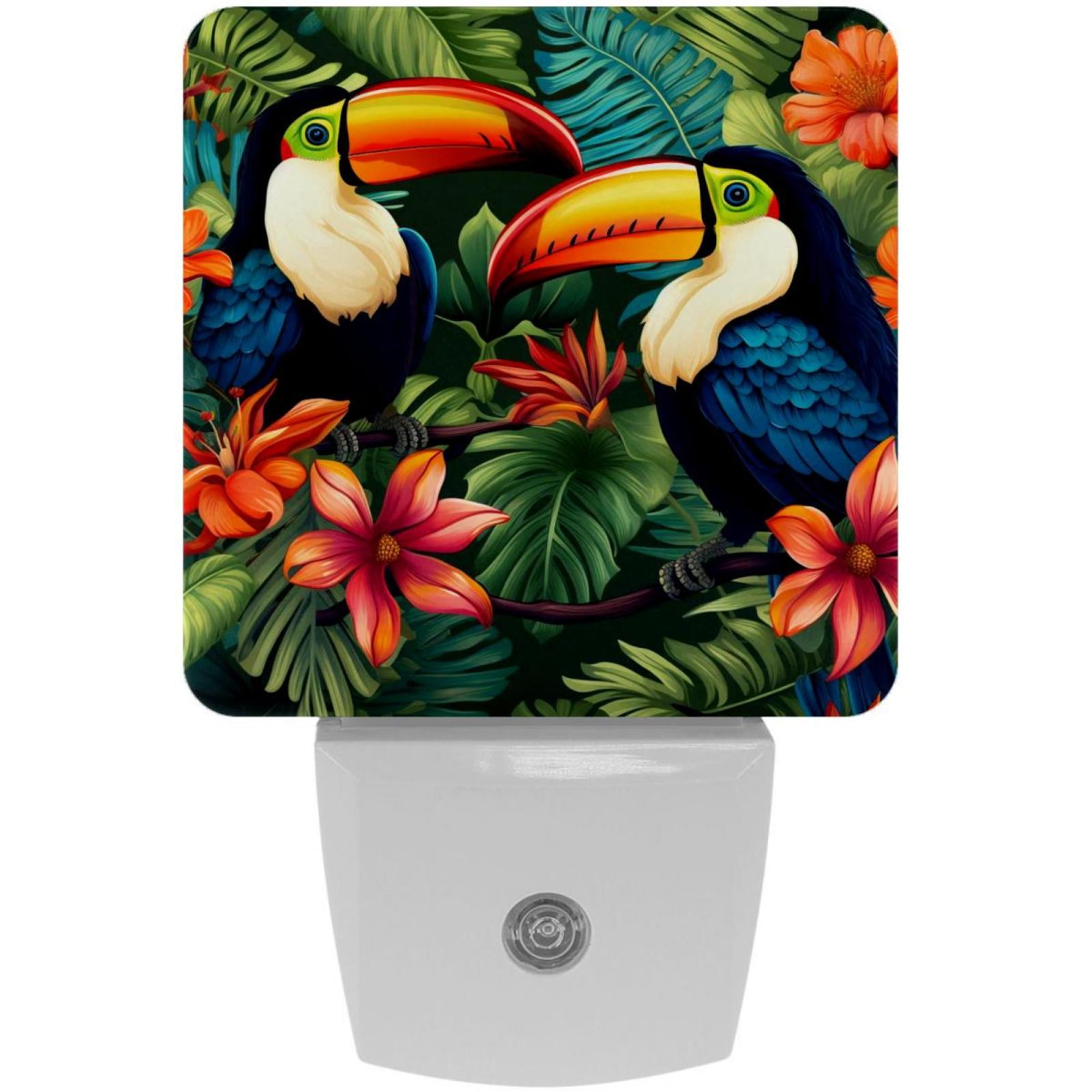 Toucan LED Square Night Lights - Elegant and Energy Efficient Lighting ...